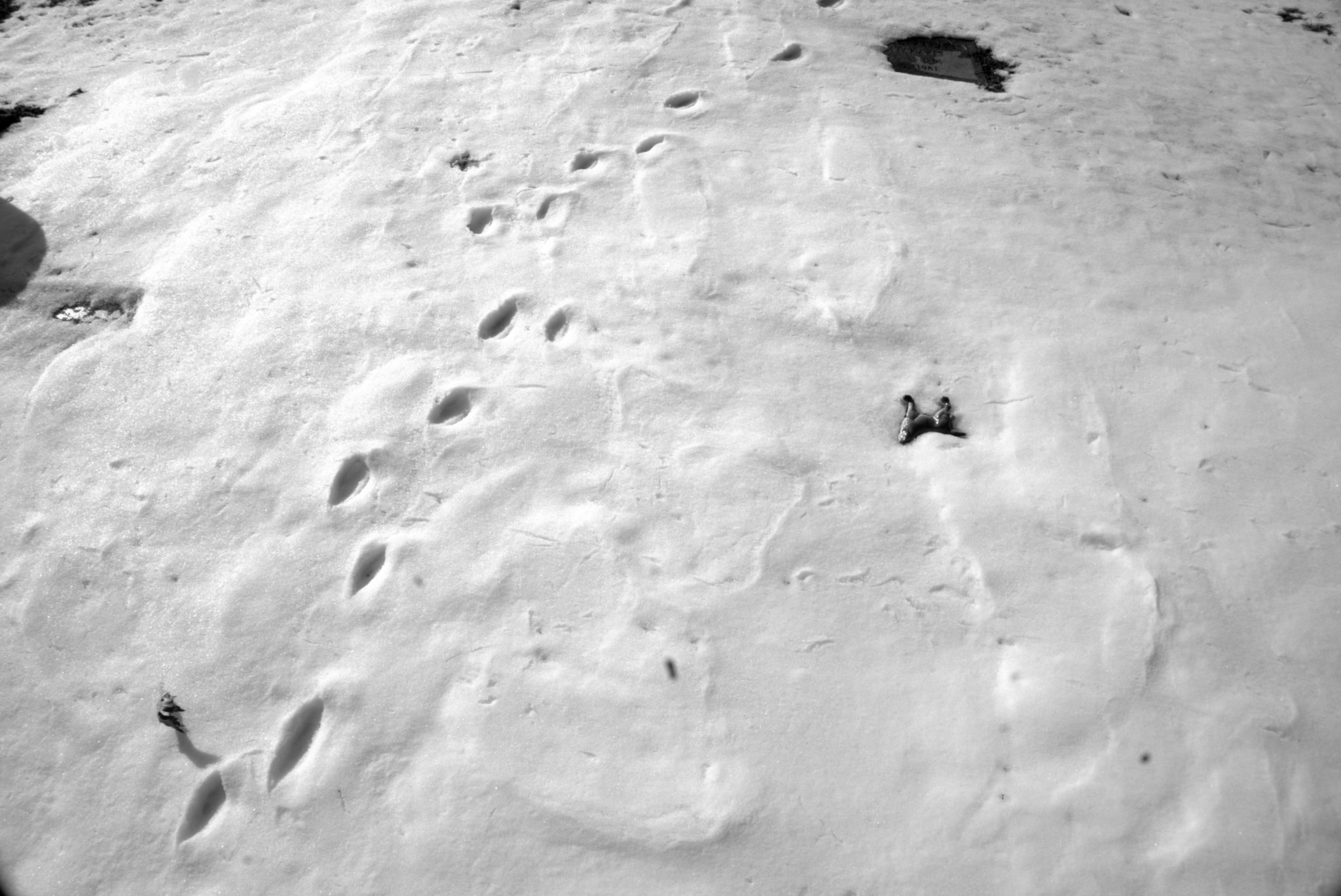 February 16, 2022 - 7th & Lincoln